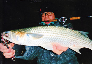 Detail - JAPAN RECORD(IGFA World Records) | Japan Game Fish Association ...